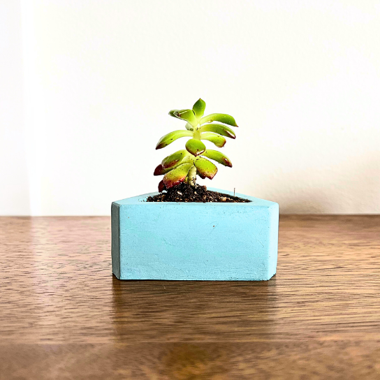 Concrete Triangle Planter – Wes&Grace