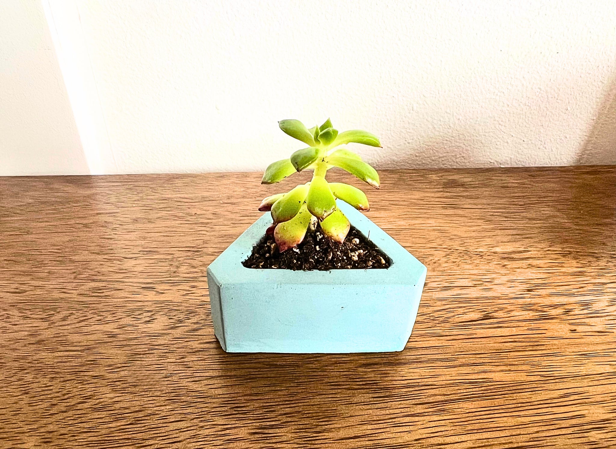 Concrete Triangle Planter – Wes&Grace